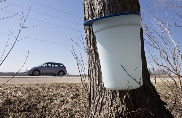 Elmira Maple Syrup Festival a sign spring is here