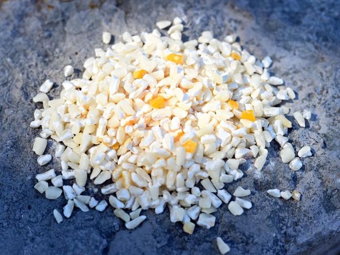 Actively reclaiming Indigenous food ways in Waterloo Region