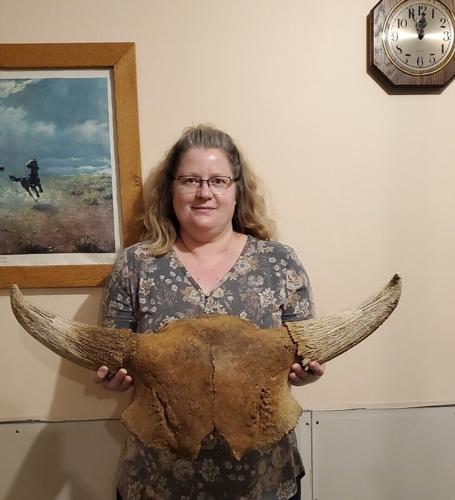 Portager discovers rare bison fossil south of city