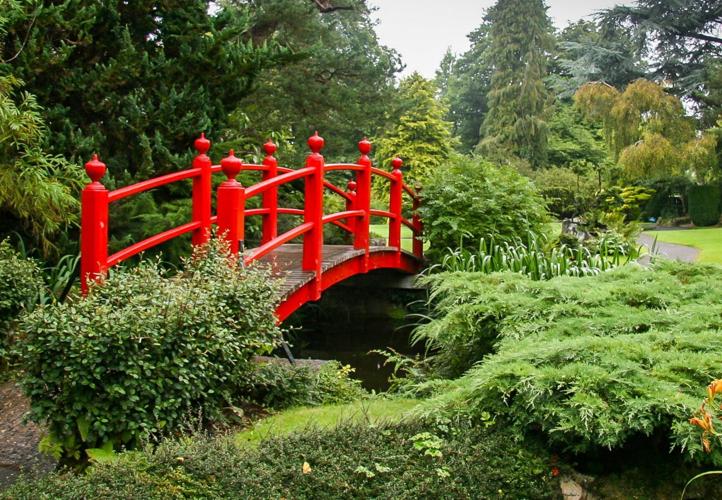 David Hobson on Japanese gardens and a lost chance to visit