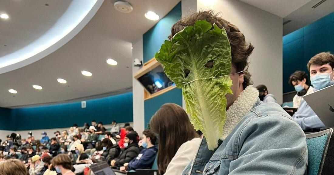 Laurier student wears lettuce, scuba and gas masks to protest ongoing ...