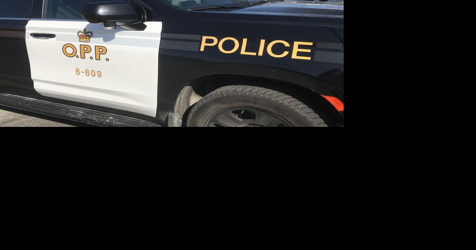 Cambridge OPP stops driver with custom made fake plate