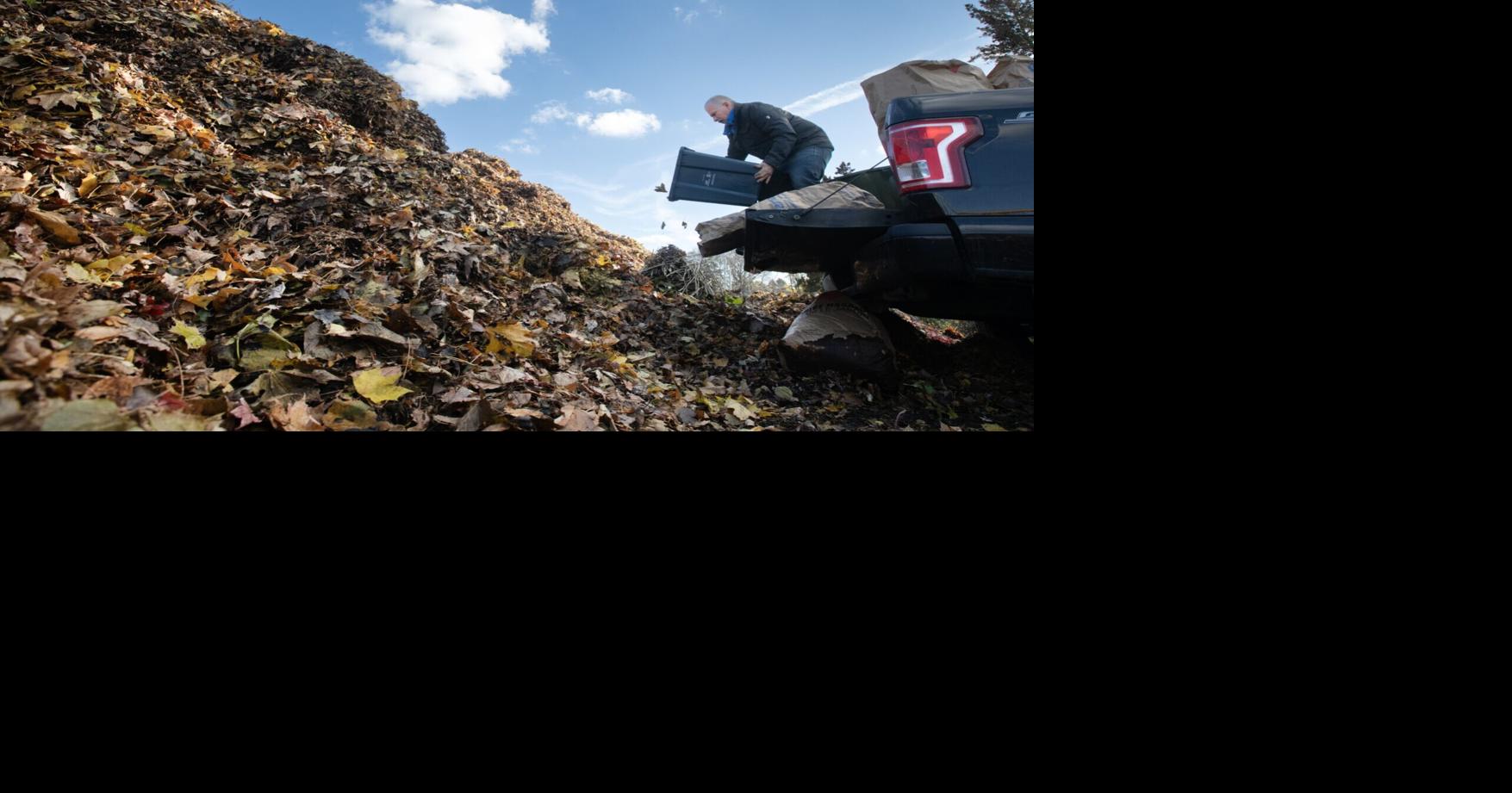 Waterloo Region Record morning update for Nov 20