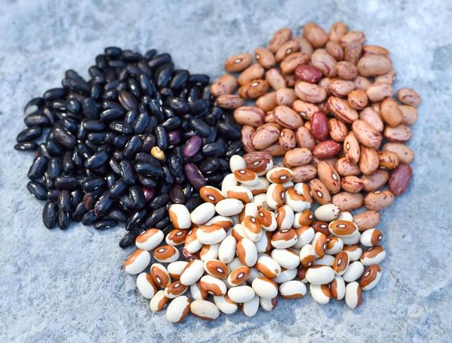 Actively reclaiming Indigenous food ways in Waterloo Region