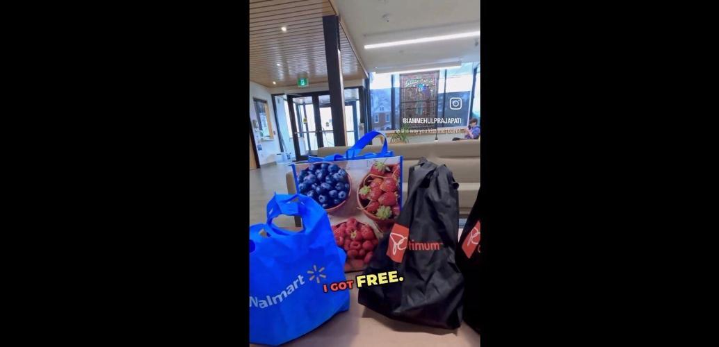 Laurier student in disinformation storm for food bank video