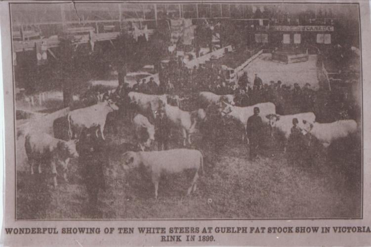 Cameron Shelley continues the tale of the Old Burying Ground