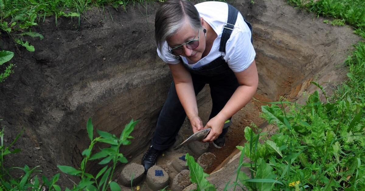 Nature, mortality and pill bugs collide in grave-shaped art project