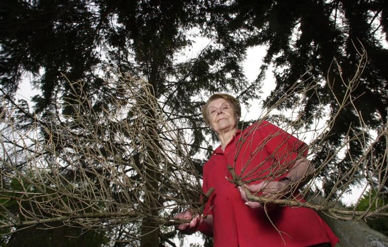 Doreen Brisbin’s ambition and ability blazed new paths