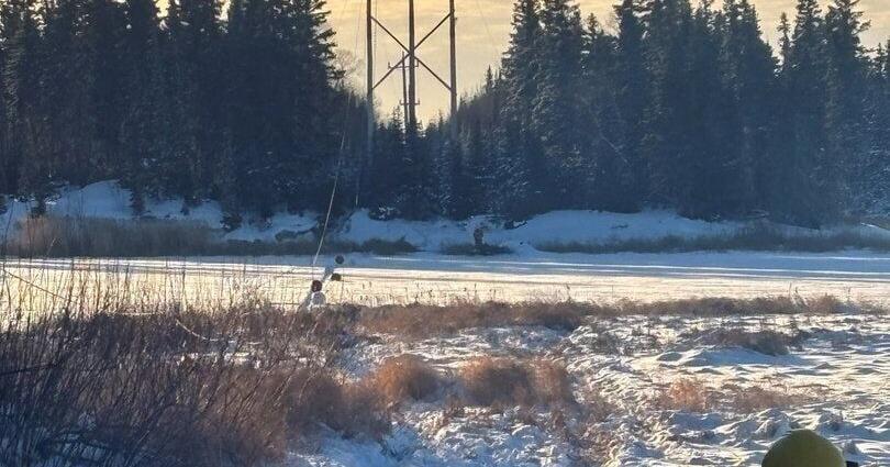 Firearms damage found near power line that failed, causing outage ...