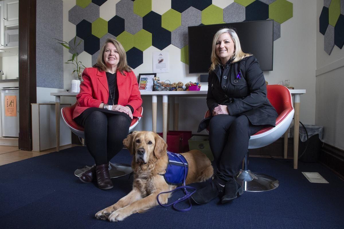 MPP in Kitchener, Hespeler aims to protect child witnesses