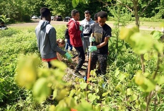 Laurel Creek Nature Centre stays in public hands after vote