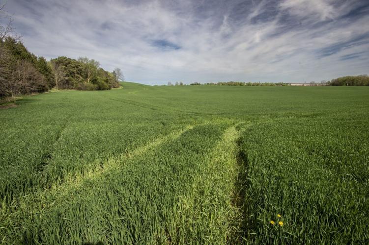 Smart growth is history in Waterloo Region Bill 162 passes