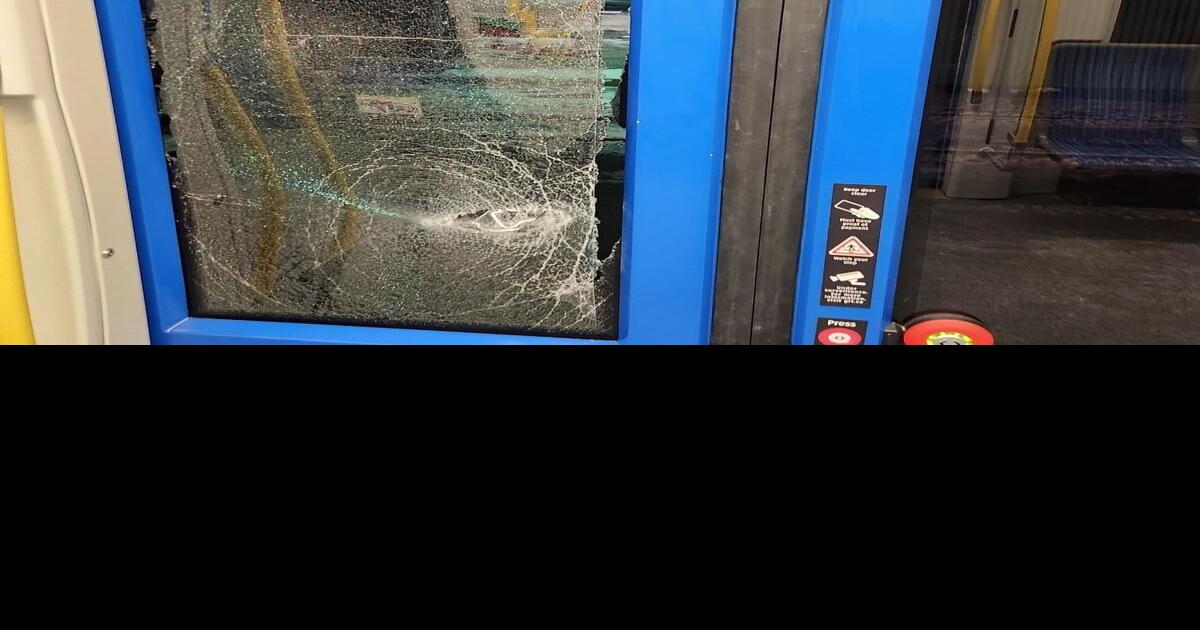 Objects thrown at Ion trains cause estimated $8,000 in damage