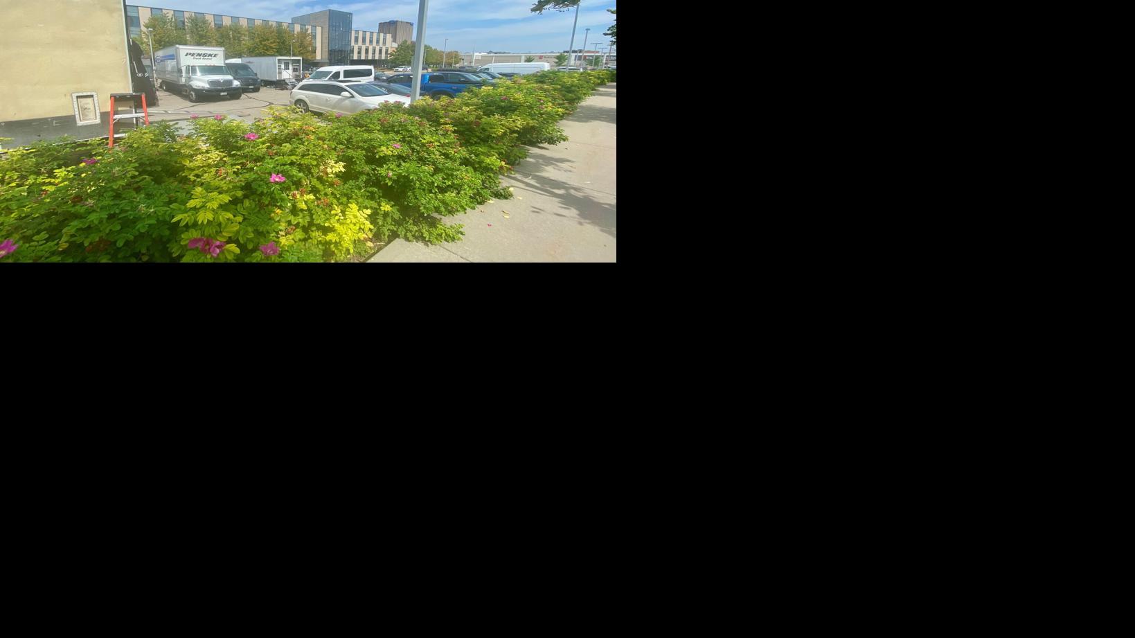 New Star Trek series, Starfleet Academy, shoots in Waterloo