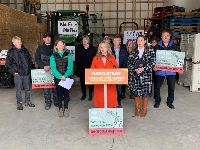 Ontario NDP leader Marit Stiles backs Wilmot farmers