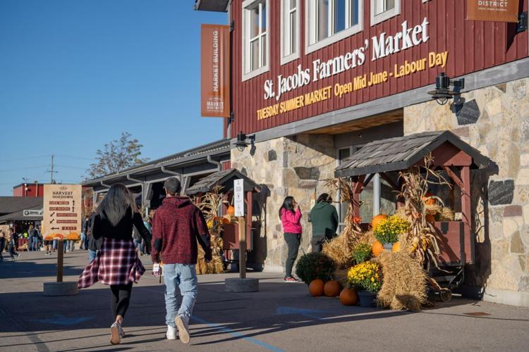 Six great reasons to visit Waterloo Region this fall