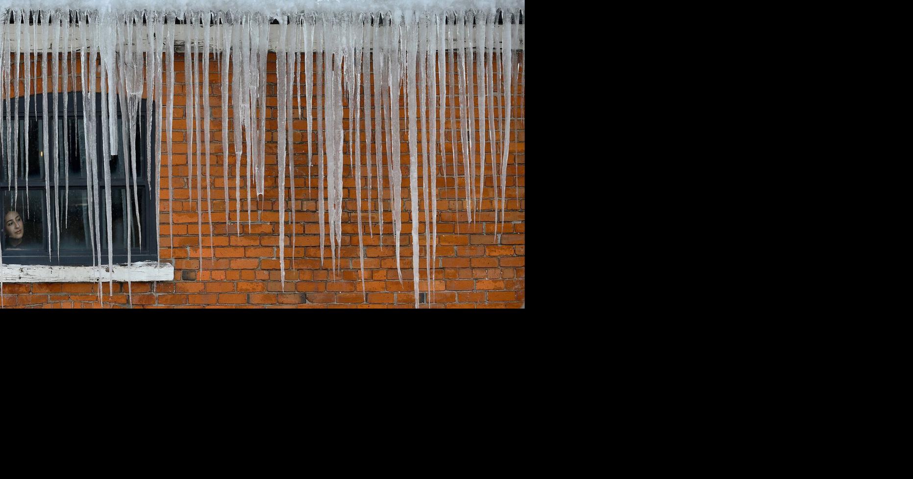 Video la reina de arroz con pollo