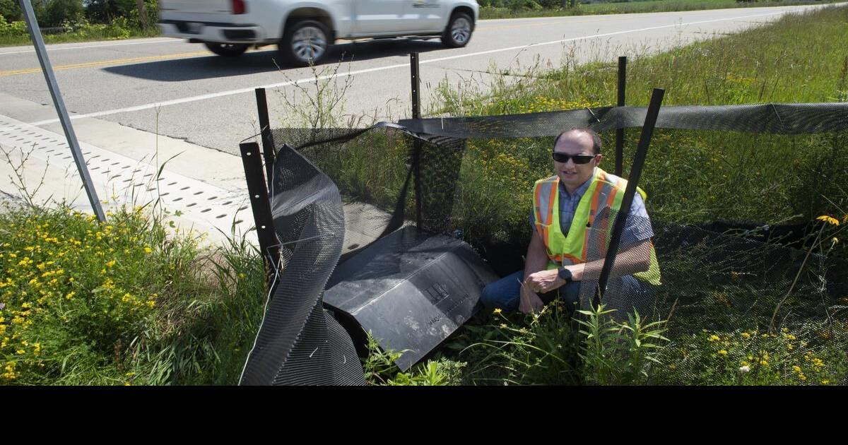 Underground tunnels on Roseville Road allows turtles, frogs to cross safely