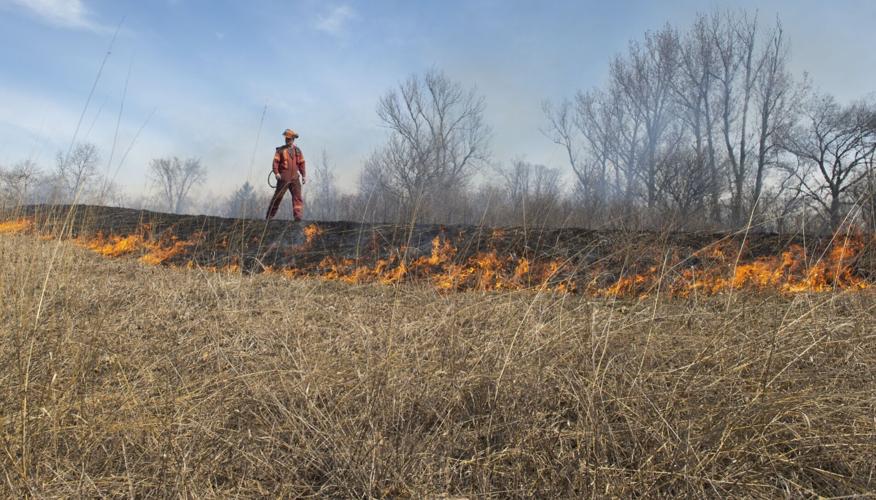Photos: Controlled burn in North Dumfries wilderness area
