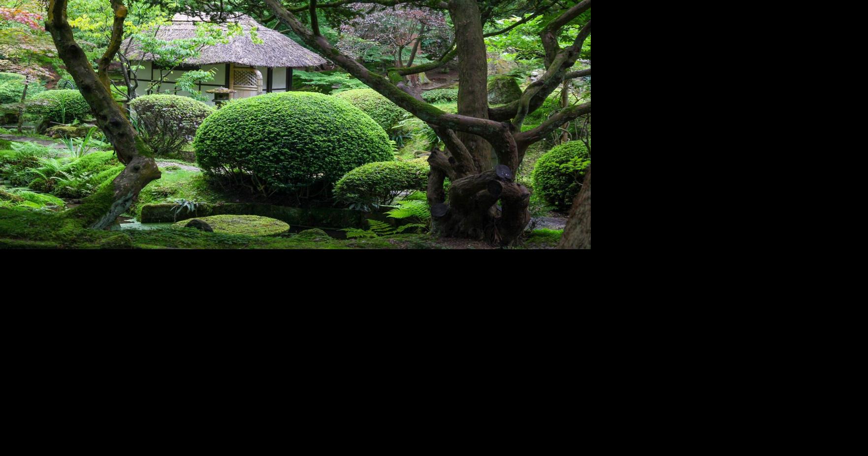David Hobson on Japanese gardens and a lost chance to visit