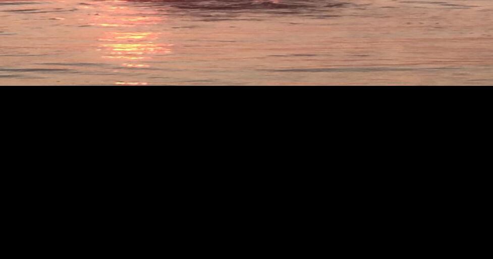 Silent Swim team calls the near miss 'a victory' for Guelph swimmer