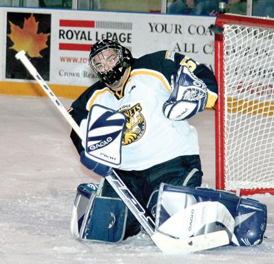 Cambridge Hornets will once again be buzzing at Galt Arena