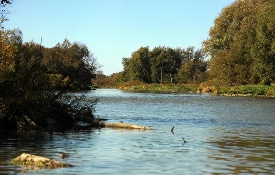 The Watershed: Crashing and banging down the Conestogo