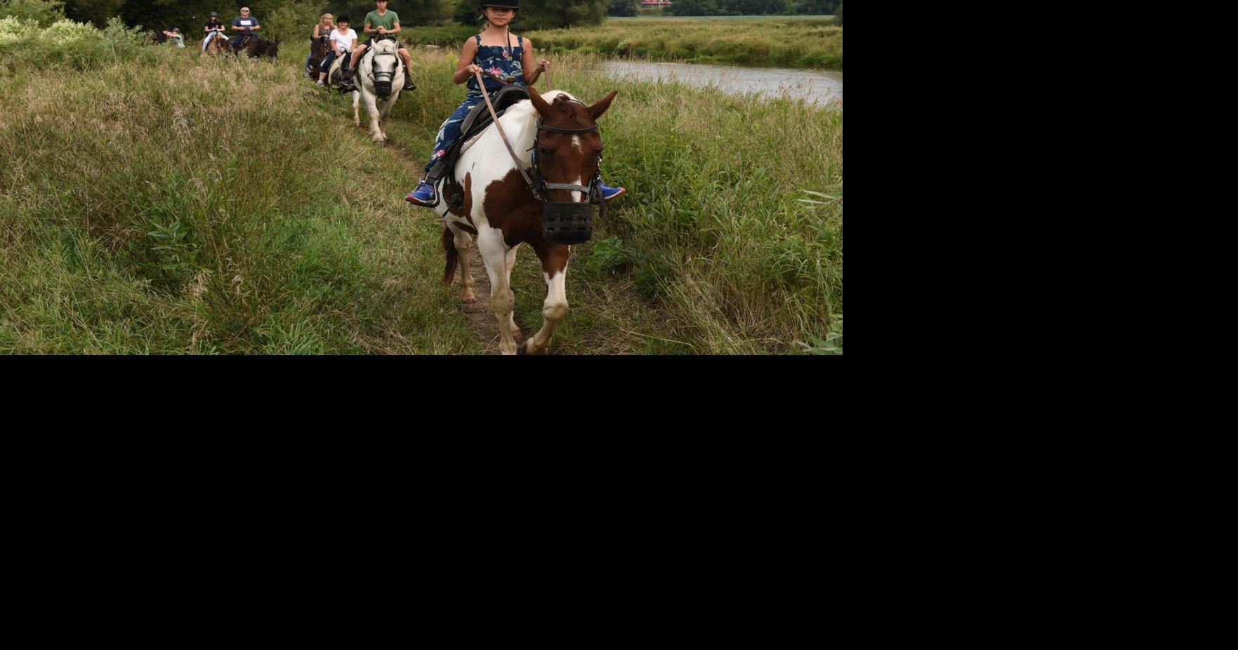 Plan a family road trip to Waterloo Region