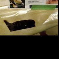 Fake spa products delivered to Waterloo homes