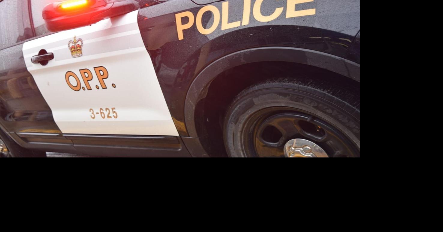 Kitchener resident arrested as part of ‘re-VIN’ scam network