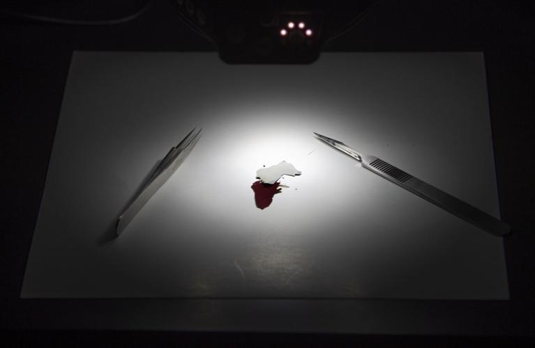 14 years. 140 officers. Inside the Lucas Shortreed case