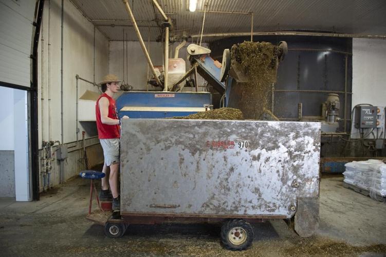 Waterloo Wolves captain Brady Martin goes from farm to draft table