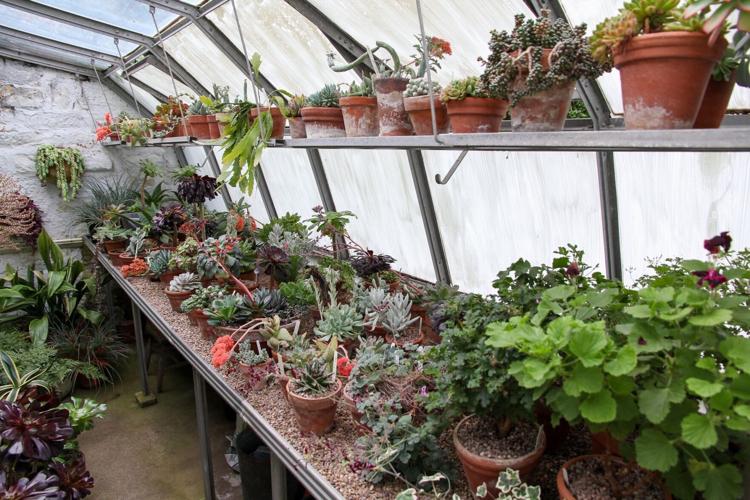 Materials, size and location are factors in a greenhouse