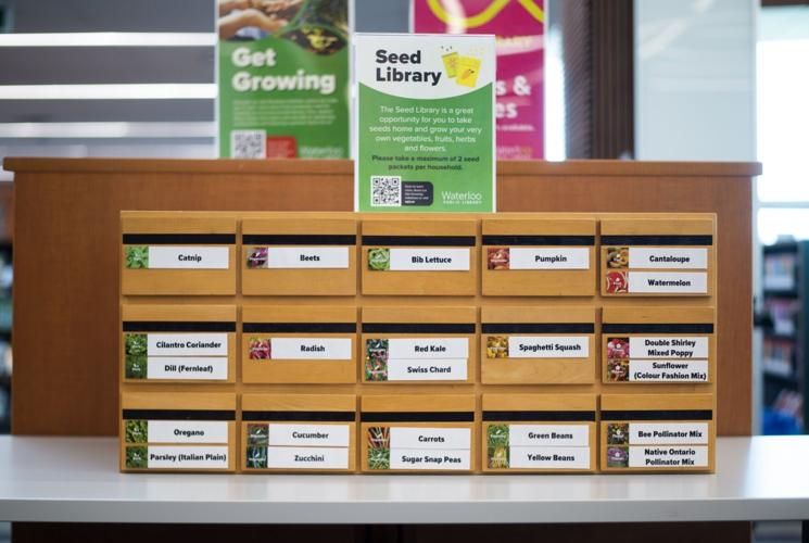 Getting your hands dirty at the Waterloo Public Library