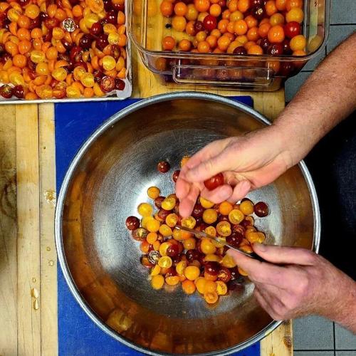 Community FEWD seeking new commercial kitchen in Guelph