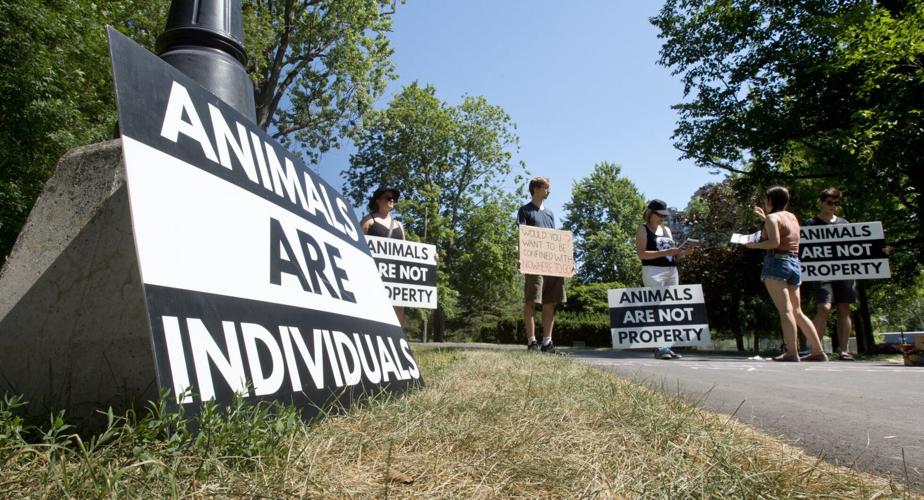 Waterloo council asked to end ‘landmark’ animal display