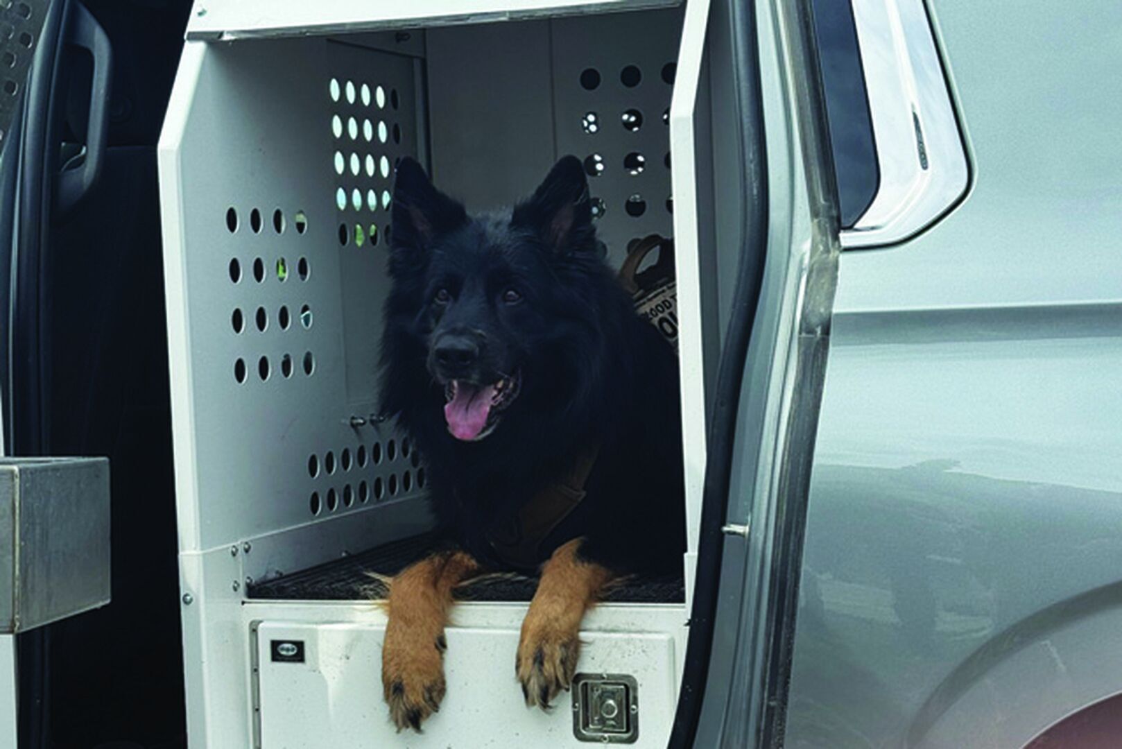 Blood Tribe Police Service adds K-9 unit
