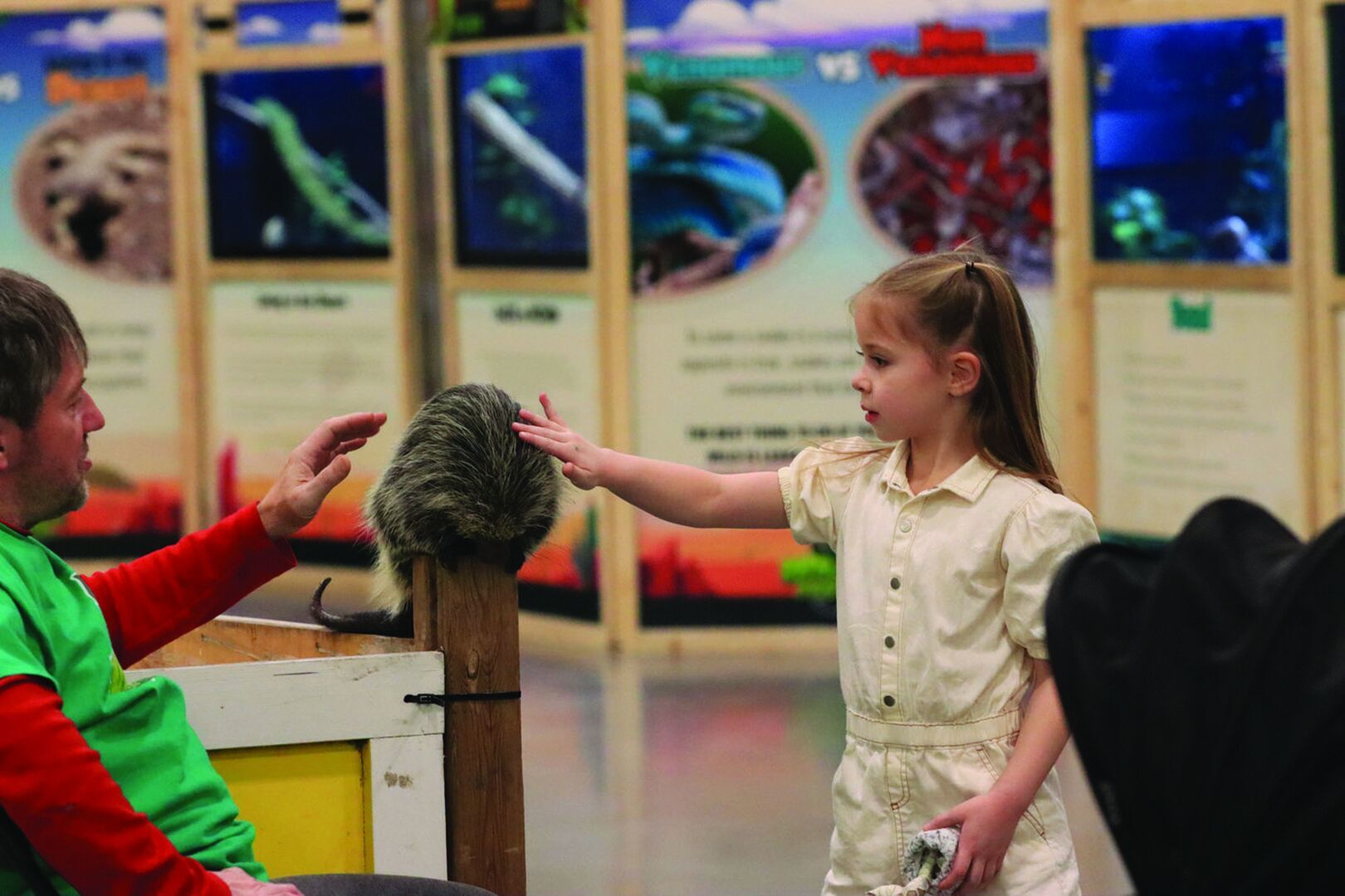 Wildlife festival brings awareness to the importance of research before ...