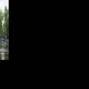 Puslinch Lake: a unique lakeside community