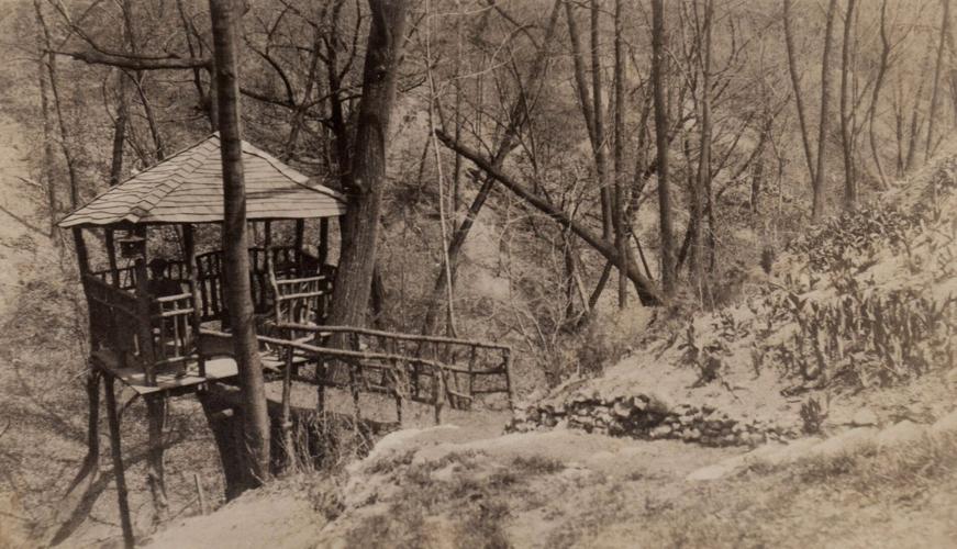Waterloo region history in vintage photos, with P.K. Weber