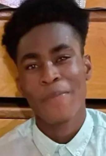 Man charged in Kitchener killing appears in court