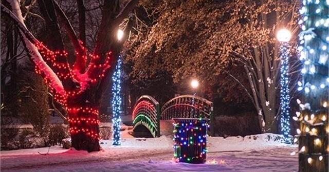 City of Kitchener was part of decision to scale back Victoria Park ...