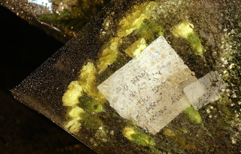 The moment Justin Bourque was captured: an RCMP officer describes the scene