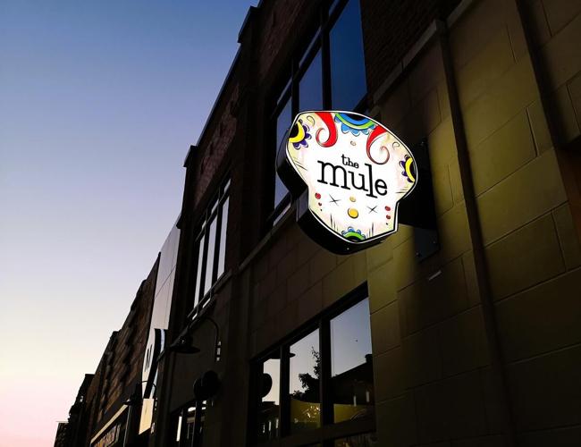 The Mule Mexican restaurant has appealing urban vibrancy