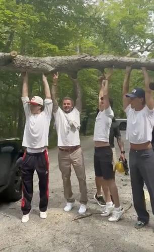 David Beckham helped lift tree blocking road in Muskoka