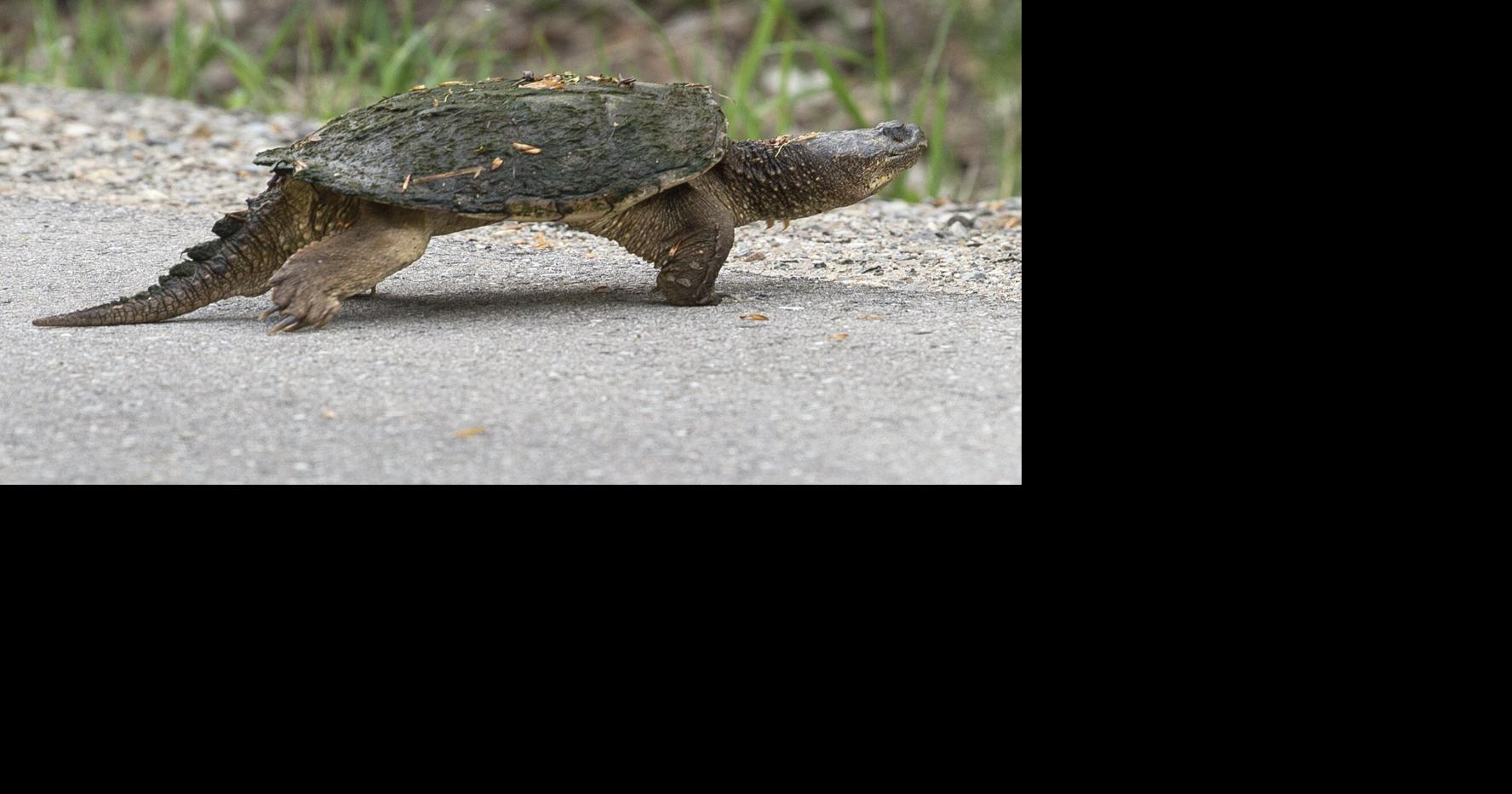 Waterloo Region Record morning update for May 28