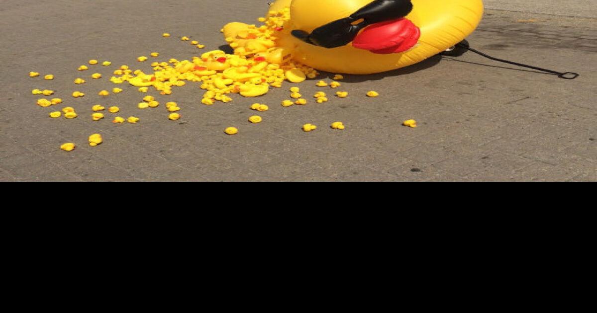 Taxpayers federation protests giant rubber duck, calls it a ‘waste of ...