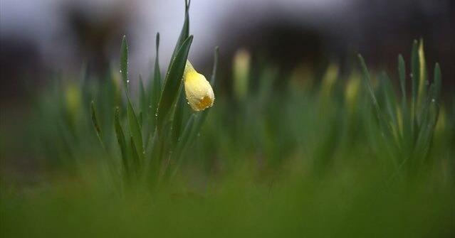 Waterloo Region Record morning update for May 8