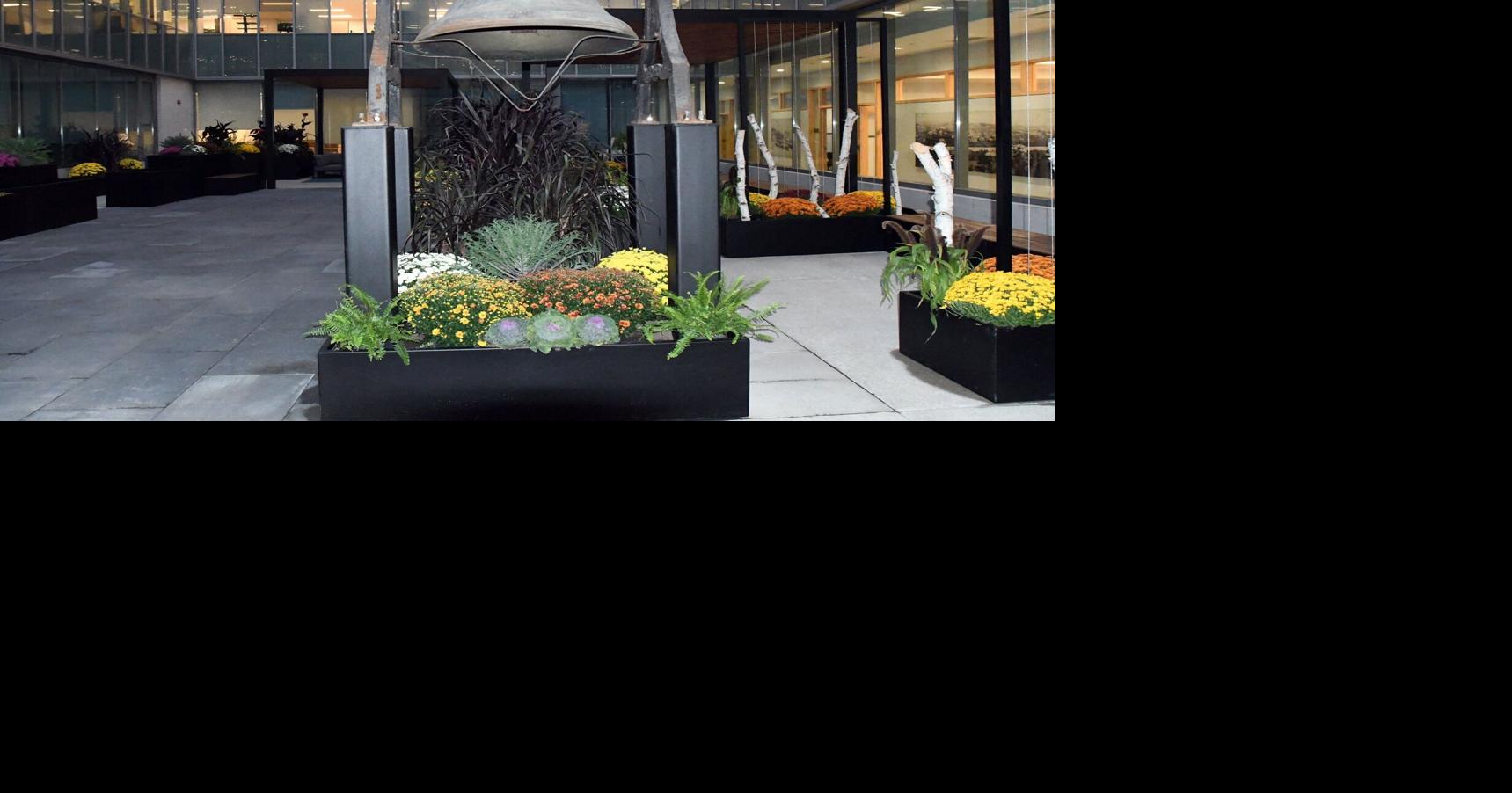 Guelph’s old city hall bell quietly moved out of storage