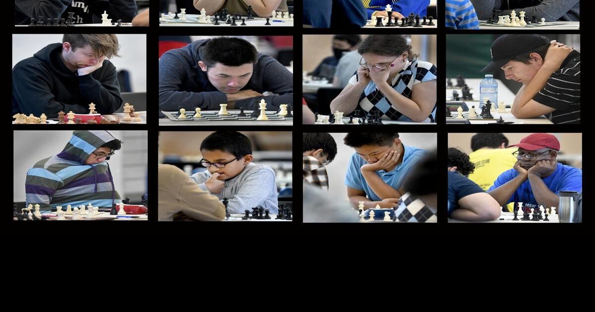 Canadian Open Chess Championship descends on Hamilton